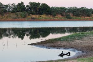 Camping in Marble Falls, TX - Shaffer Bend Recreation Area - Fab Everyday