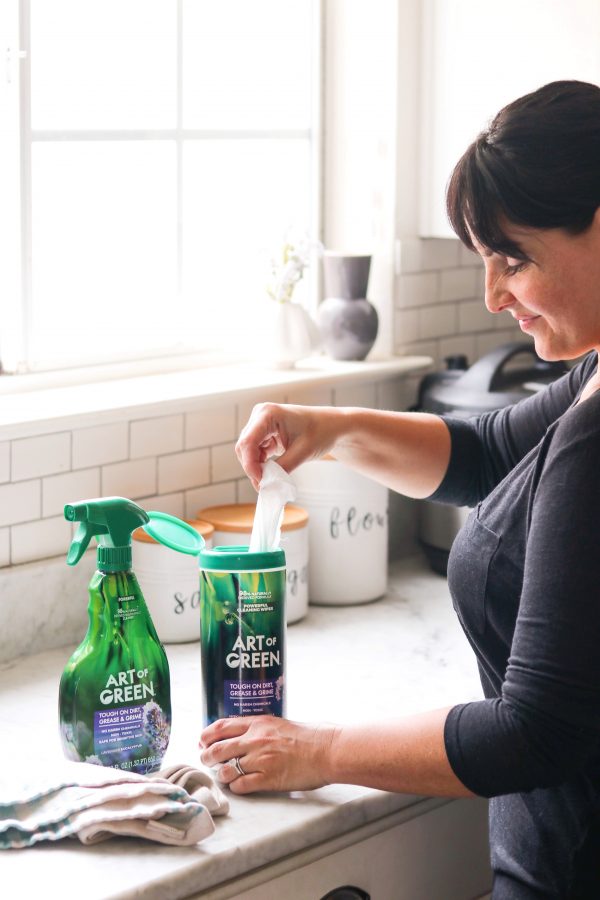 Incorporating eco-friendly cleaning products into your house cleaning ...