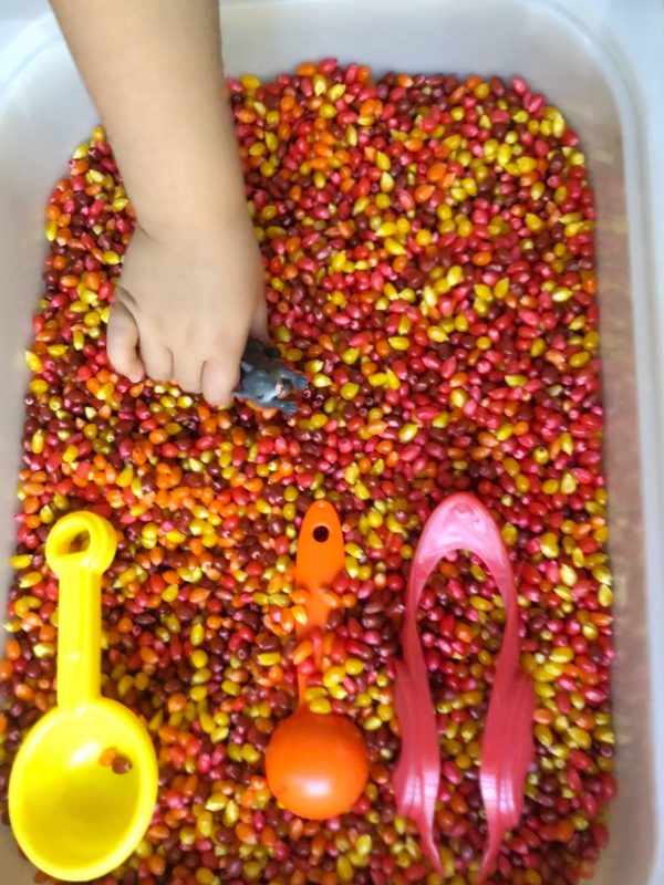 Fall Sensory Bins (including Halloween and Thanksgiving sensory bin ...