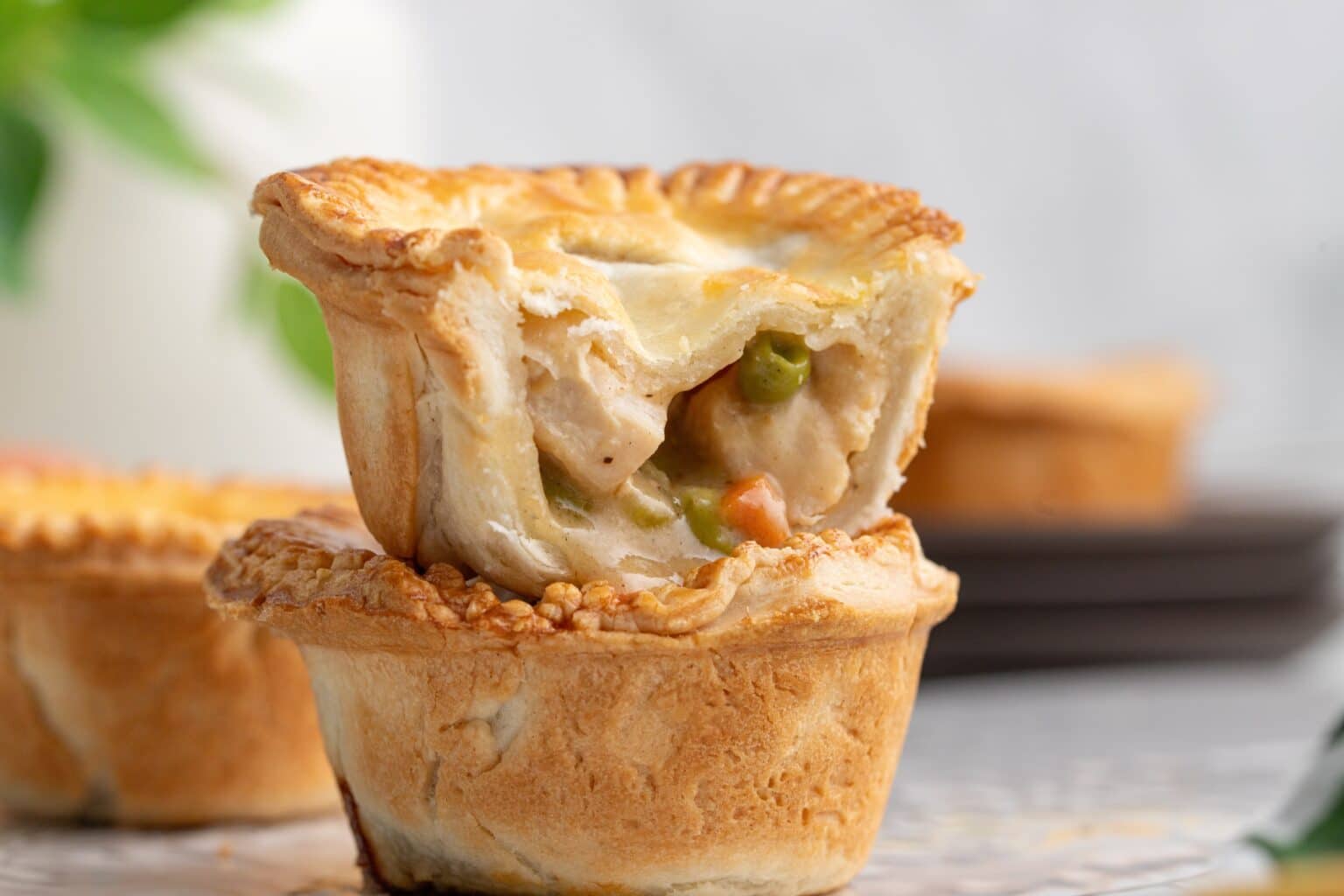 Muffin Tin Chicken Pot Pies (mini chicken pot pies with pie crust ...