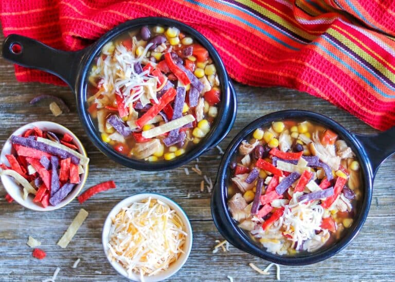 Dump-and-Go Instant Pot Tortilla Soup recipe - Fab Everyday